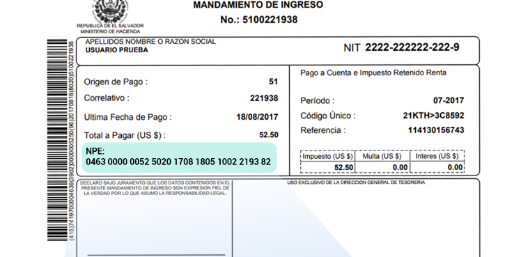 NPE disponible para el pago de multas - TEG